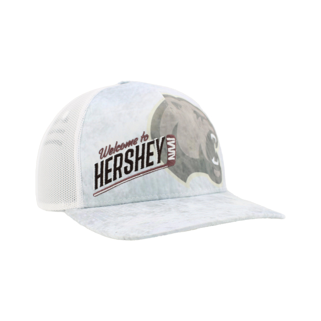 Hershey Bears Ice Greeting Hat